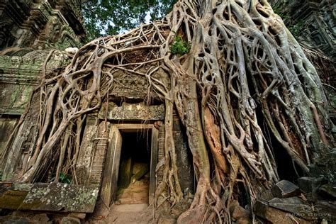 21 Photos Of Nature Winning The Battle Against Civilization Beauty Of