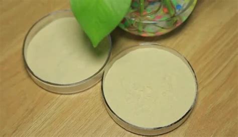 China Factory Manufacture Isolated Soy Protein Hs Code 35040090 For