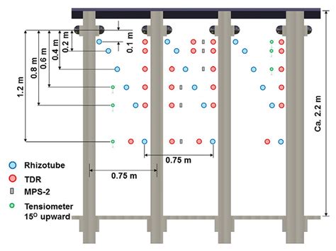 Setup Of The Rhizotubes Time Domain Reflectometry Tdr Sensors Mps 2 Download Scientific