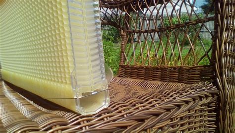 My FLOW Hive Frames Have Arrived Honey Bees Forum At Permies