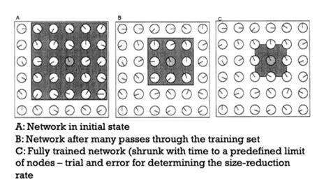 Neural Network Lecture Flashcards Quizlet