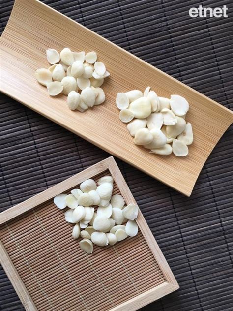 【中藥字典】煲湯常用南北杏，原來南杏、北杏功效略不同！點樣分？ 健康好人生 Health 經濟通 Et Net