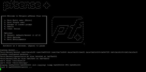 After Upgrade 2403 To 2411 Reboot Hangs At Start 0xffffff