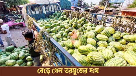 গরমে তরমুজের চাহিদা বেড়েছে সঙ্গে দাম Watermelon Price Hike Youtube