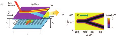 A Schematic Of The Wedge Shaped Microcavity Formed By Two Distributed