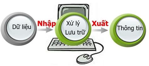 input và output là gì trong tin học Định nghĩa và ứng dụng hệ thống