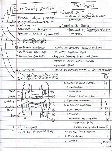Anatomy Journal Idea