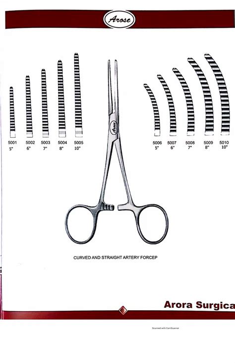 Ss Polished Kochers Forceps 8inch For Hospital At Rs 550 In Ghaziabad