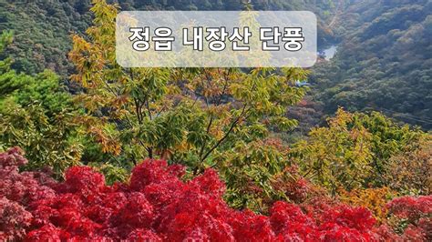 정읍 내장산 당일치기 단풍구경 Youtube