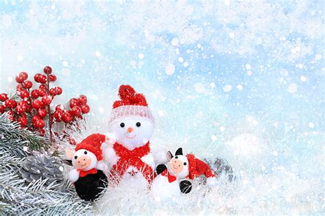 조명과 보케 장식크리스마스와 새해 배경 눈 조각에 전나무 가지가있는 장난감 텍스트 장소 2022년에 대한 스톡 사진 및 기타