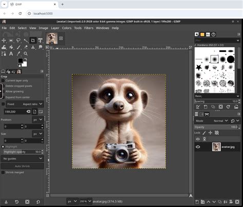 Docker Running Some Gui Interfaces In The Browser Christophe Avonture