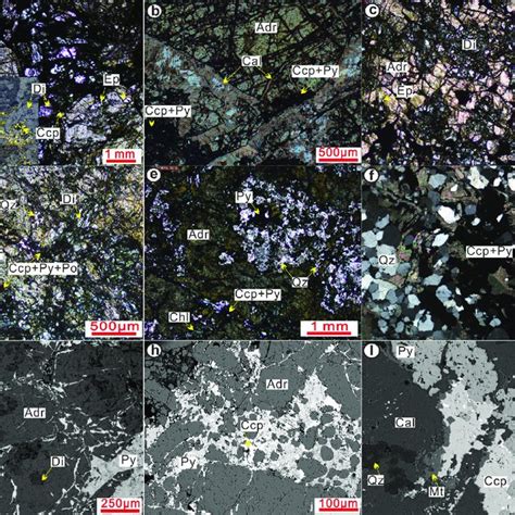 Representative Photomicrographs Showing Mineral Assemblages And