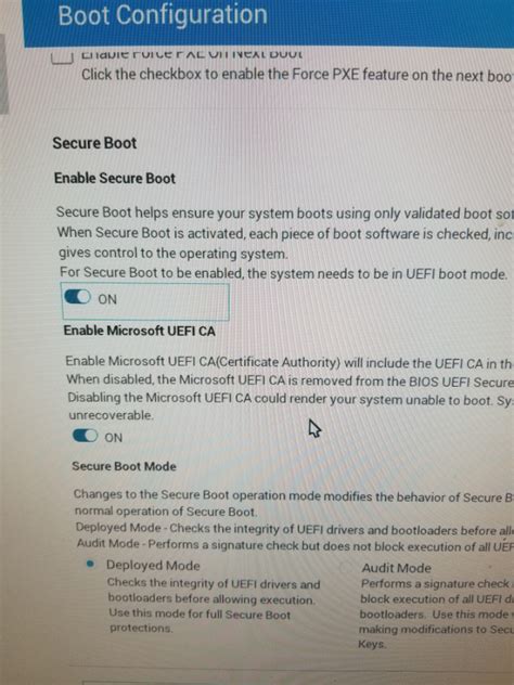 Installed Video Card BitLocker Pops Up DELL Technologies