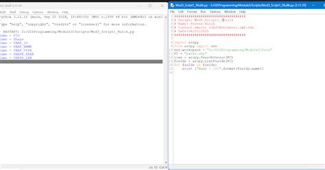 module 3 debugging and error handling