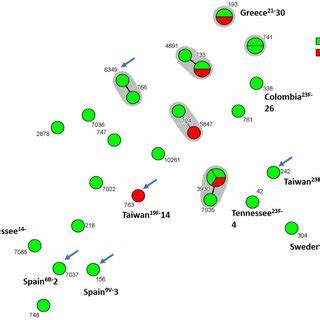 Minimum Spanning Tree Generated By Using BioNumericsv And Download Scientific Diagram