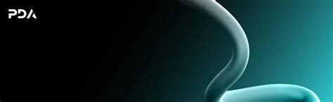 Modeli PDA Kompetencija 2024 HiNT Training Coaching