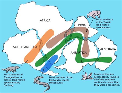 Pangaea Facts About Pangaea The Most Recent Supercontinent Geology In