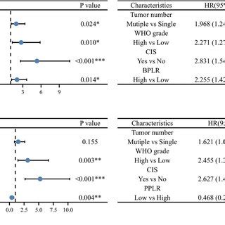 The ROC Curves Developed For Recurrence And Progression Prediction