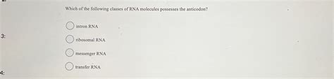 Solved Which Of The Following Classes Of Rna Molecules