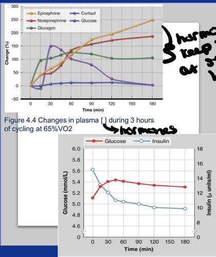 Ex Phys Chapter 4 Flashcards Quizlet