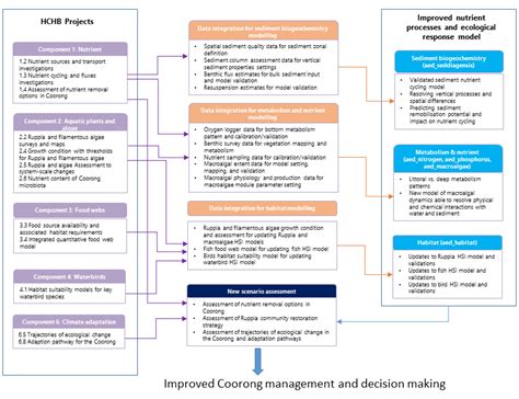 1 Introduction The Coorong Dynamics Model