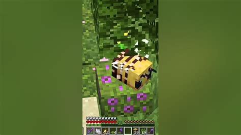 Бджола флексит майнкрафт Youtube