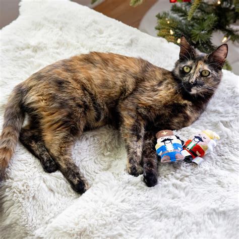 Pearhead Holiday Cat Toy Set Nutcracker Set Baxterboo