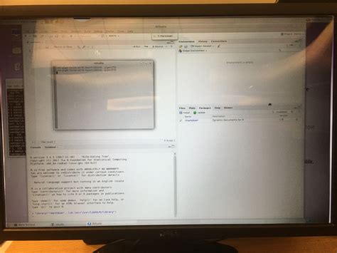 RStudio Hangs During RMarkdown Check Without Internet Access Issue Rstudio Rstudio