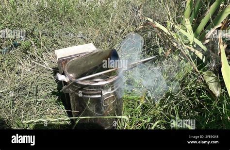 Fumigating Stock Videos And Footage Hd And 4k Video Clips Alamy