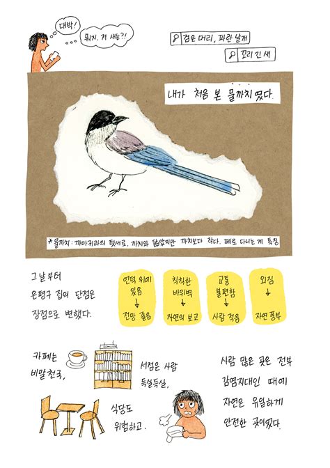 알라딘 미리보기 이다의 자연 관찰 일기