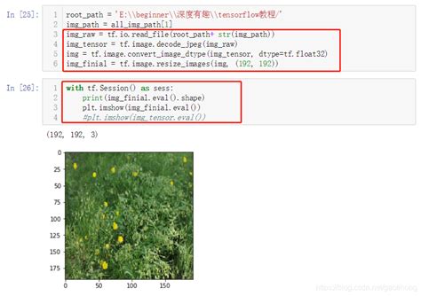 8tensorflow之imagedatatensorflowjs Imagedata Csdn博客