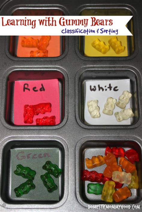 Learning With Gummy Bears Classification And Sorting Domestic Mommyhood