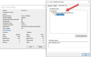 Troubleshooting Citrix Gateway Service Connection Issues Dennis Span
