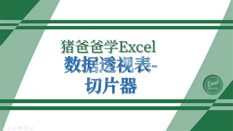 猪爸爸学excel之数据透视表第12节——切片器基础篇 知乎