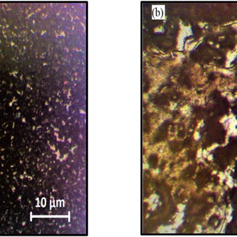 A Microstructure Of The Weld Metal Region And B Base Metal