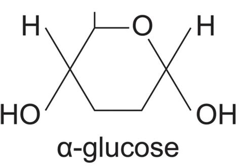 Monomers And Polymers Carbohydrates Flashcards Quizlet