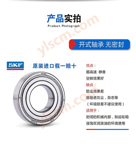 SKF 深沟球轴承两侧带防尘铁盖型 6013 2Z