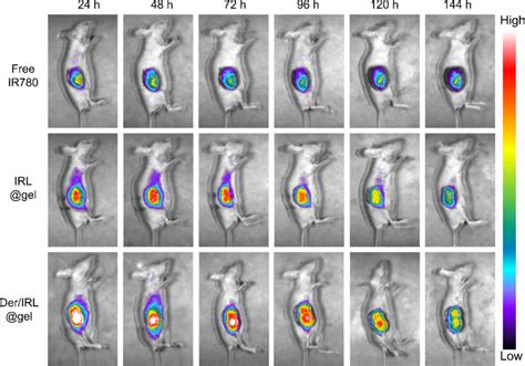 Residence Time Of Different Gels In Tumor After Intratumoral Injection