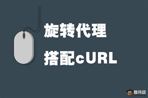 如何将旋转代理与curl一起使用