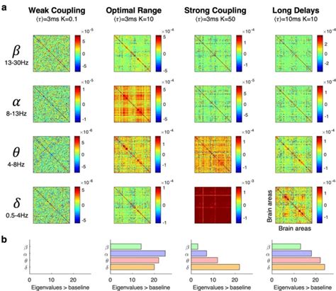 Repertoire Of Frequency Specific Envelope Covariance Patterns Emerging