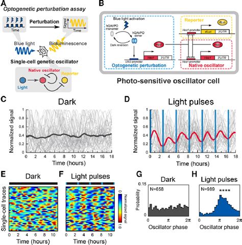 An Integrated Approach For Visualizing And Controlling A Natural
