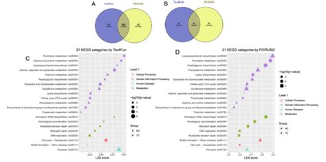 Functional Analysis Prediction A The Venn Plot Shows The Predicted Download Scientific