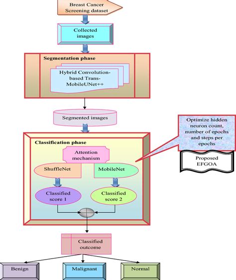 Improved Breast Cancer Classification Approach Using Hybrid Deep Learning Strategies For Tumor