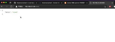 clash核心程序 docker 环境运行支持 restful接口dashboard ui一端运行支持所有的操作系统Linux windows macos ios 安卓 科学上网