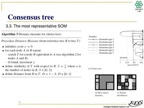 Ppt Treesom Cluster Analysis In The Self Organizing Map Powerpoint Presentation Id5067875