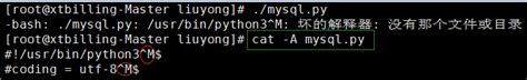 执行python脚本，提示错误： usr bin python m 解释器错误 没有那个文件或目录怎么解决 大数据 亿速云