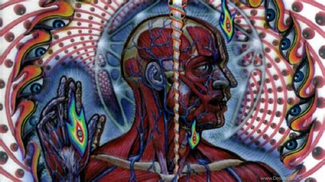 Tool Band Wallpaper 70 Images