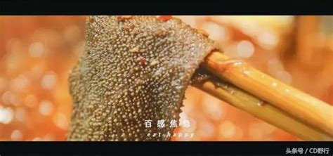 寒冷的冬夜只有它能溫暖你的心 每日頭條