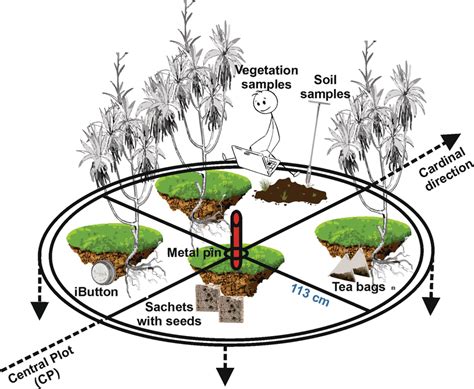Schematic Representation Of Data Sampling In One Of The Plots Along The