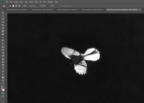 How To Use The Patch Tool In Photoshop Step By Step